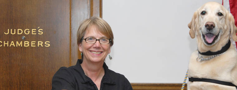 Specially-trained facility dogs accompany vulnerable witnesses in US courts